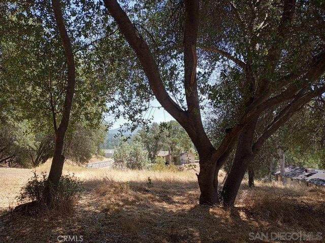Live Oak Dr, Oakhurst, CA 93644