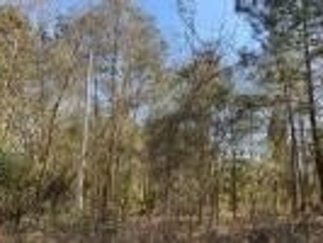 117th Ln # 89/104, Live Oak, FL 32060