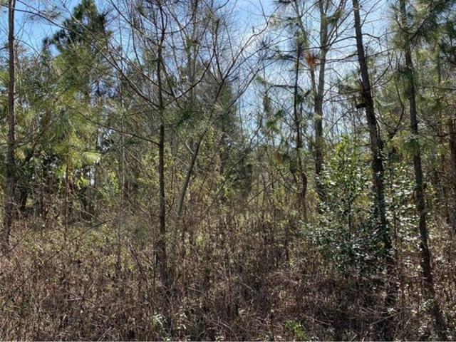 117th Ln # 89/104, Live Oak, FL 32060