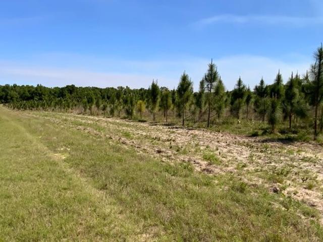 Live Oak, FL 32060
