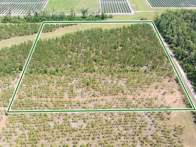 Live Oak, FL 32060