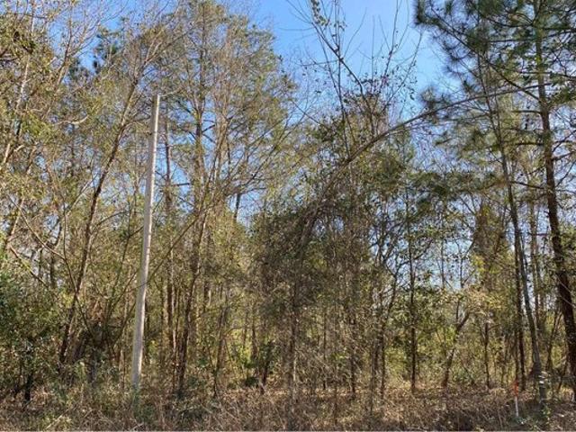 117th 21 Ct # 22, Live Oak, FL 32060