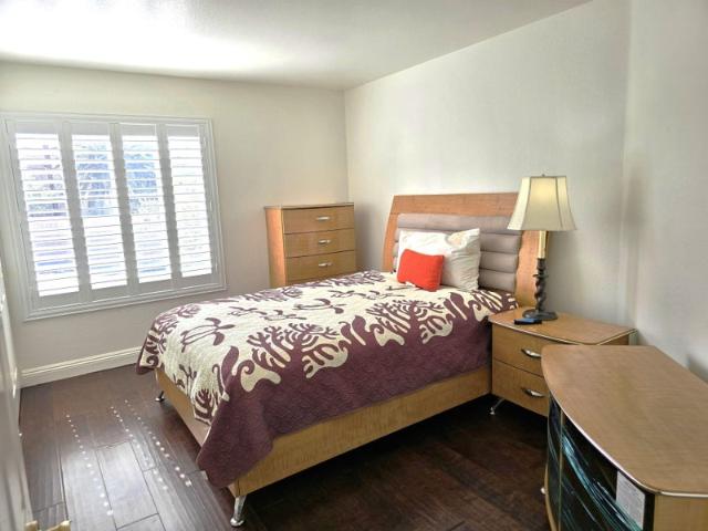 Live in Desert Shores