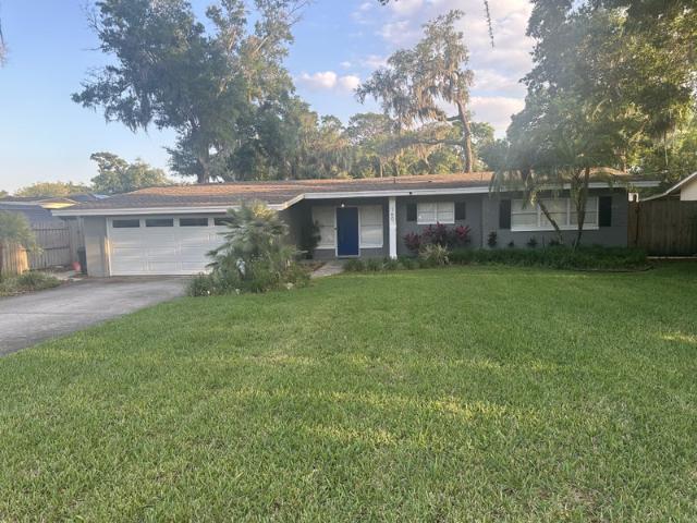 Live in Dog Sitter / Maitland House Share