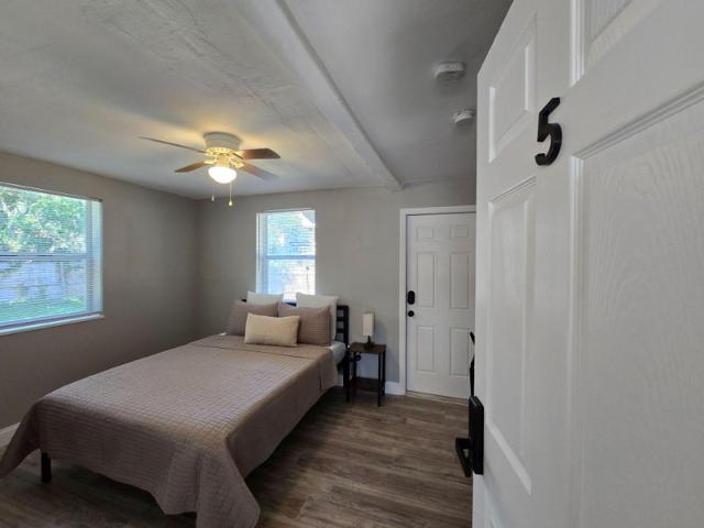 Live in Downtown Daytona