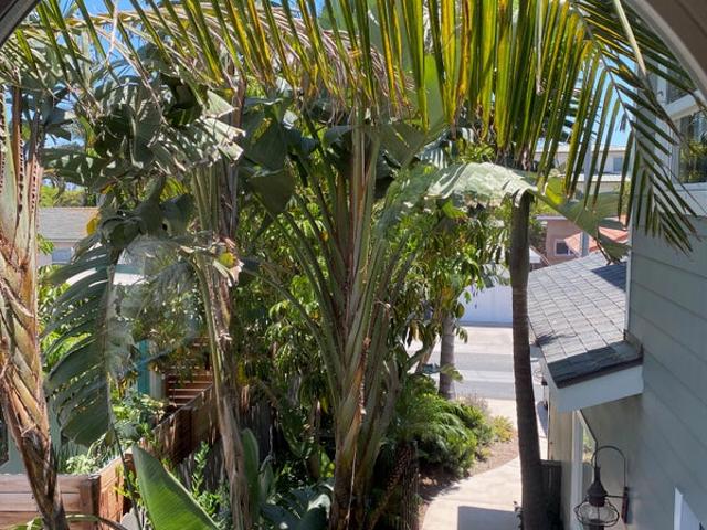 Live in Luxury 550 feet from the beach