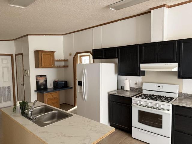 Live in Leander, newly renovated house