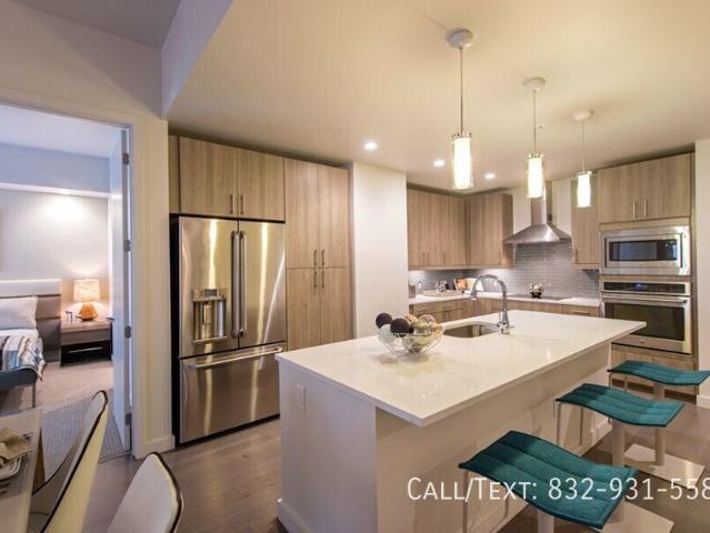 Live Luxury Near Hermann Park – 1 Month Free!