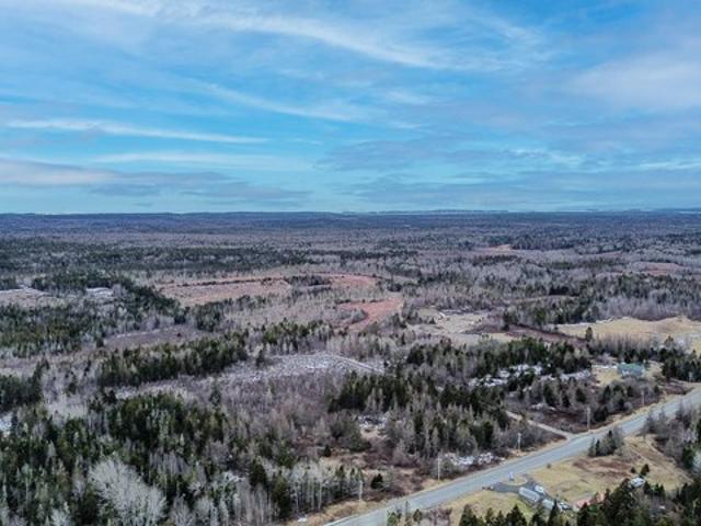 Lively Brook Rd, Whiting, ME 04691