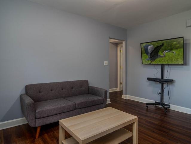 Lively Southeast Washington DC Apartment