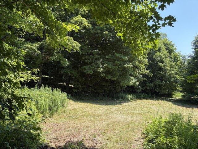 Livermore Falls ME 04254 105115843