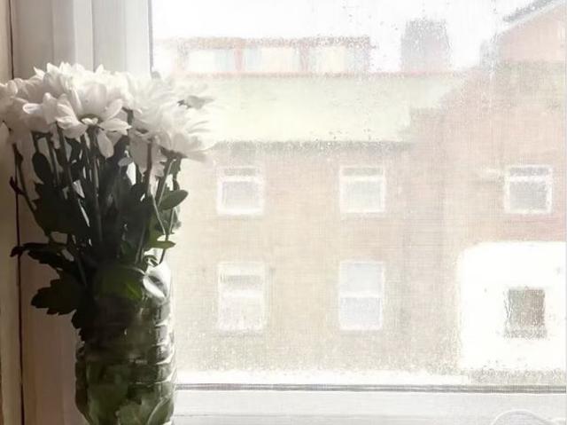 Liverpool Studio | £105pw | Official Transfer