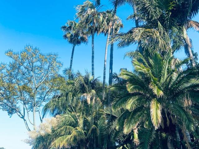 Living in Paradise