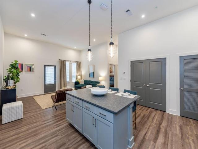 Livingston Flats 3 Bedroom Apartment for Rent at 15560 Cosby Village Ave, Chesterfield, VA 23832