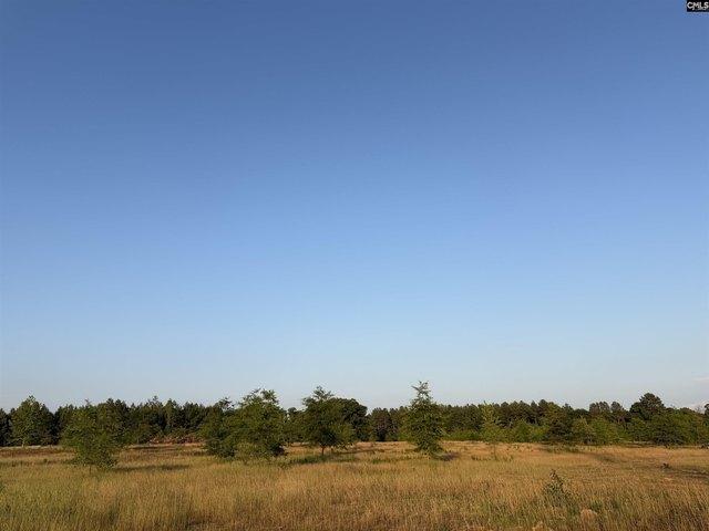 Livingston Rd, Pomaria, SC 29126