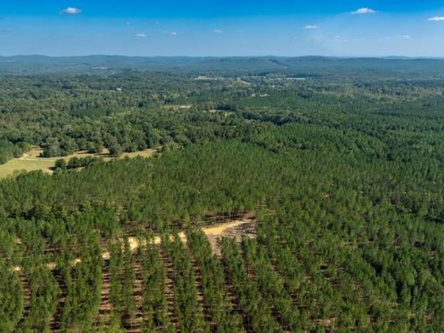 Livingston Rd SW, Rome, GA 30161