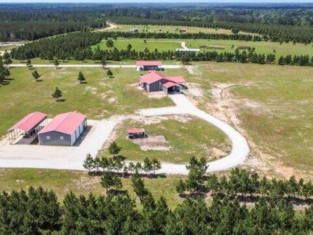 Livingston TX 77351 LS94070114