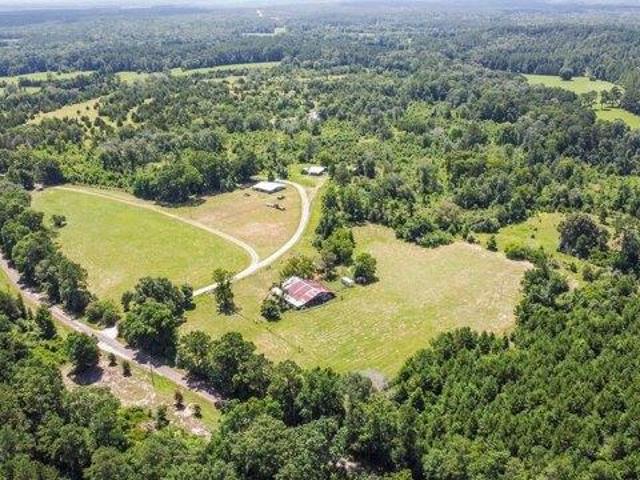 Livingston TX 77351 LS94072667