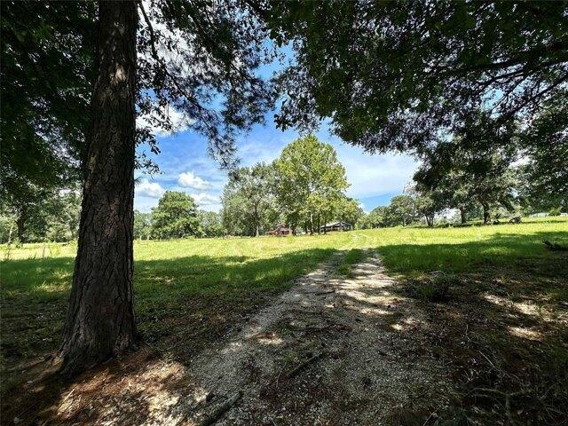 Livingston TX 77351 LS94399558
