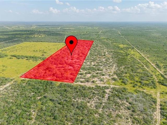 Loma Blanca Rd, Roma, TX 78584