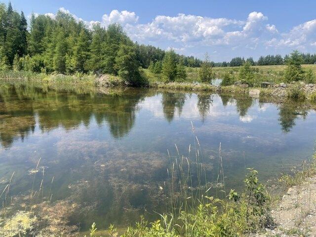Lombard Rd Lot,caribou, Plot For Sale
