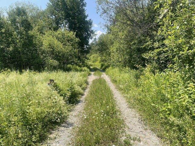 Lombard Rd Lot,caribou, Plot For Sale