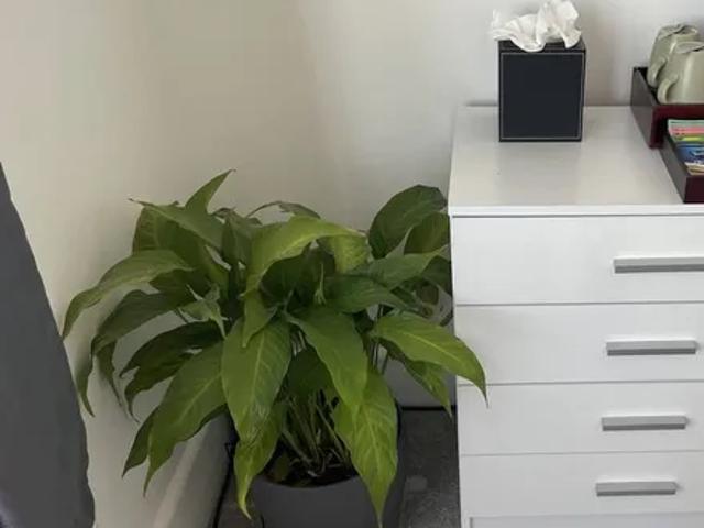 London, HA0 2TS, United Kingdom | 1 bed house for rent #114008942 | Rentberry
