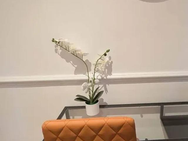London, SE28 8EU, United Kingdom | 2 bed house for rent #167066590 | Rentberry