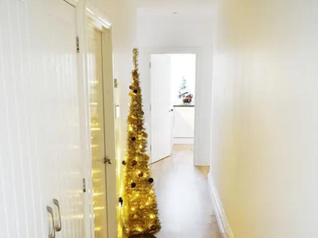 London, Telegraph Hill, ENGLAND, GB | Room for rent #153970119 | Rentberry