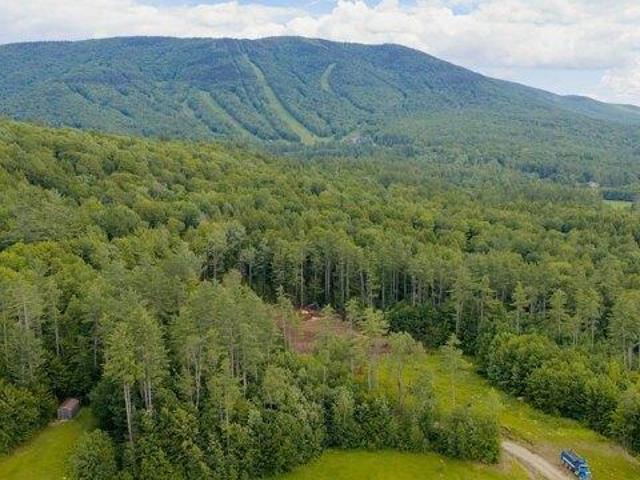 Londonderry VT 05148 104716128