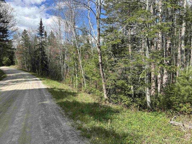 Londonderry VT 05148 104721026