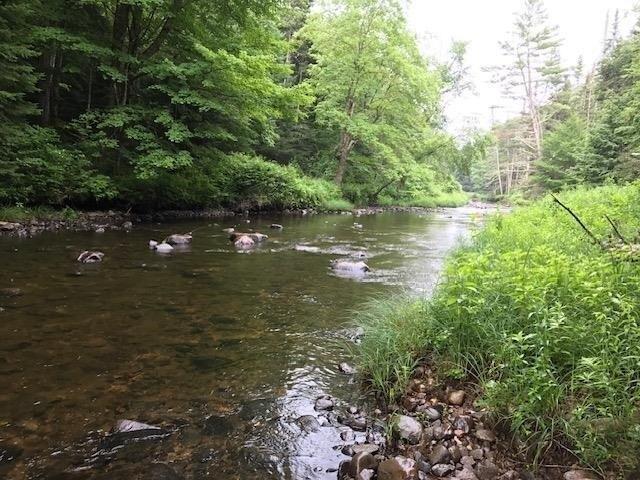 Londonderry VT 05148 104835518