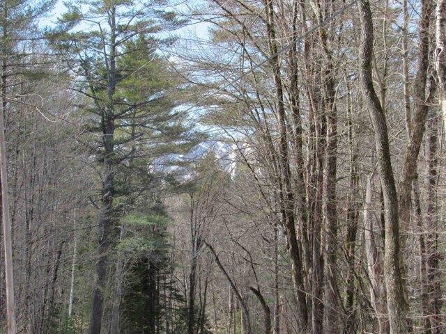 Londonderry VT 05148 LS102479354