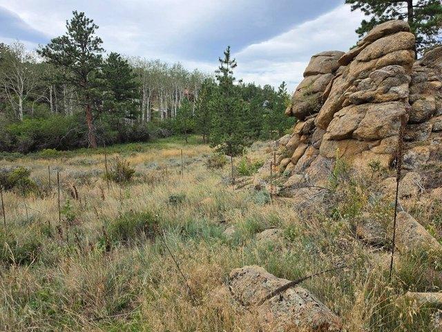 Lone Pine Ct, Red Feather Lakes, CO 80545