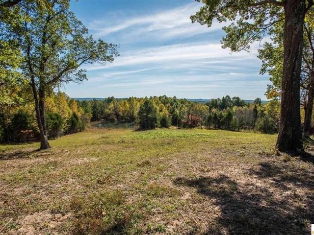 Lone Star Tower Rd, Bonnieville, KY 42713