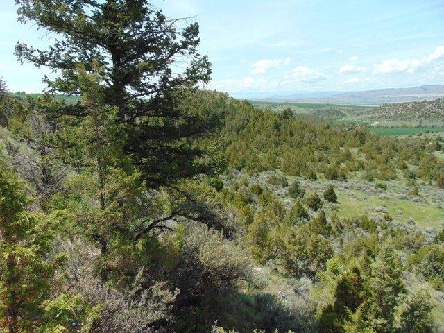Lone Wolf Trl, Three Forks, MT 59752