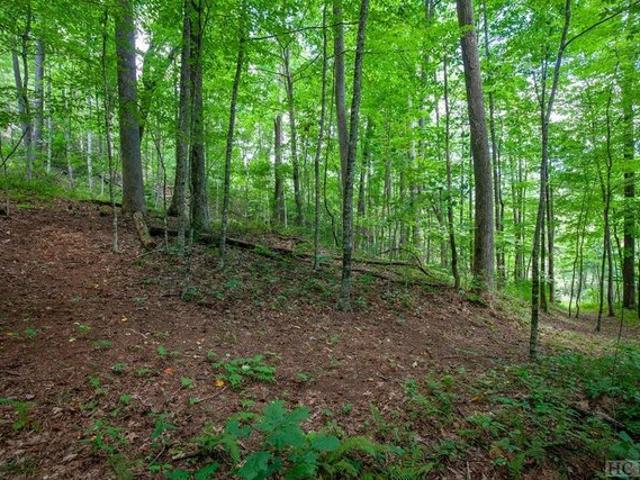 Lonesome Vly Lot 120, Sapphire, NC 28774