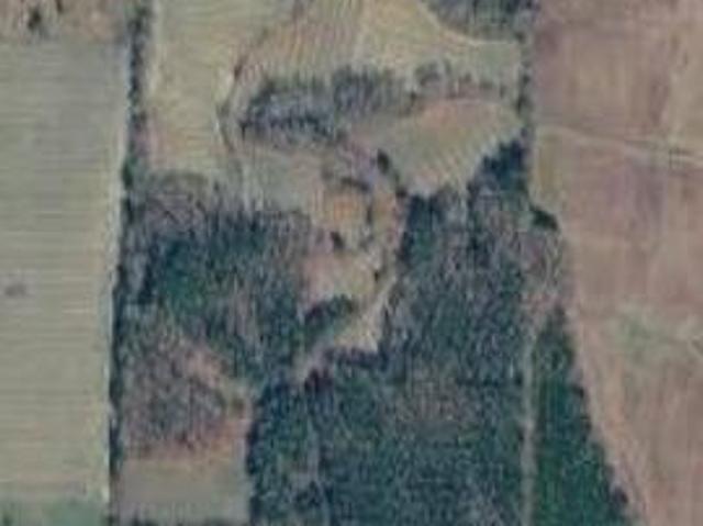 Lonesome Pine Rd Lot 2, Whitakers, NC 27891