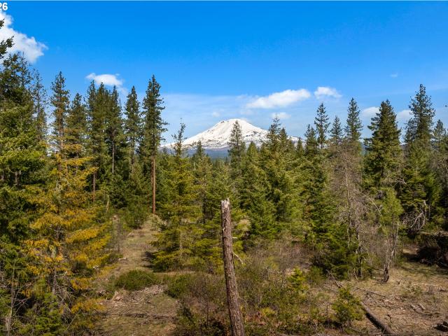 Lonesome Pines Dr, Unit 4, Trout Lake, WA 98650 | MLS #424752