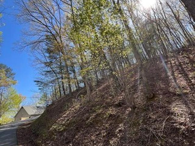 Lonesome Pne Lot 2, Murphy, NC 28906