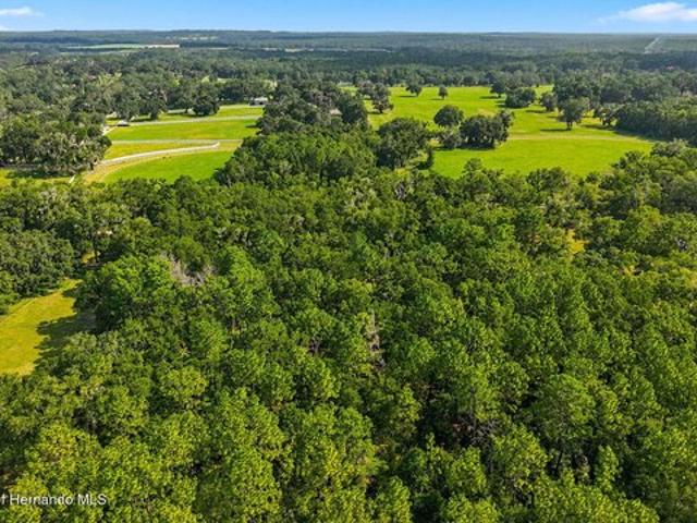 Lonesome Rd, Brooksville, FL 34601