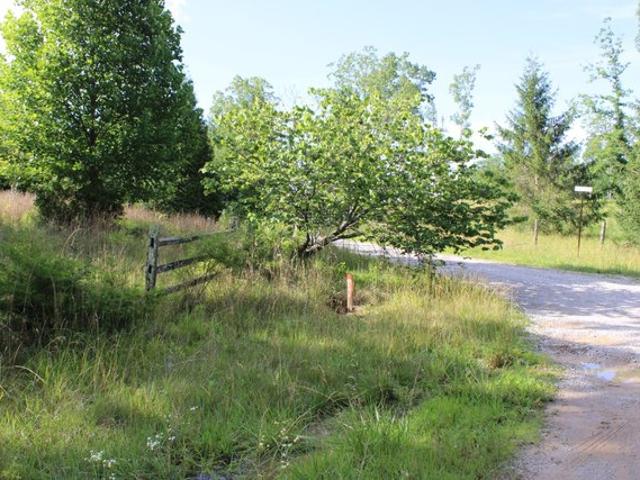 Long Mtn, McMinnville, TN 37110