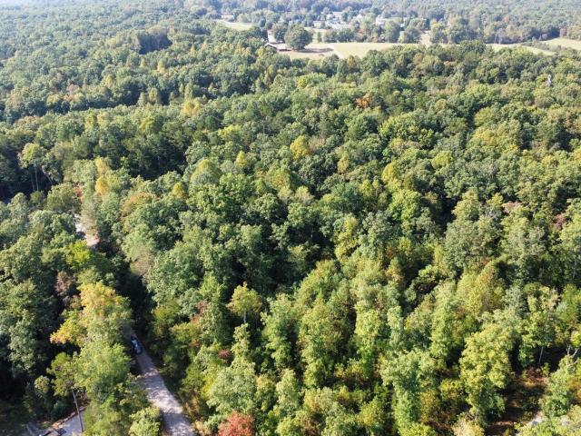 Long Branch Court, Allardt, TN 38504