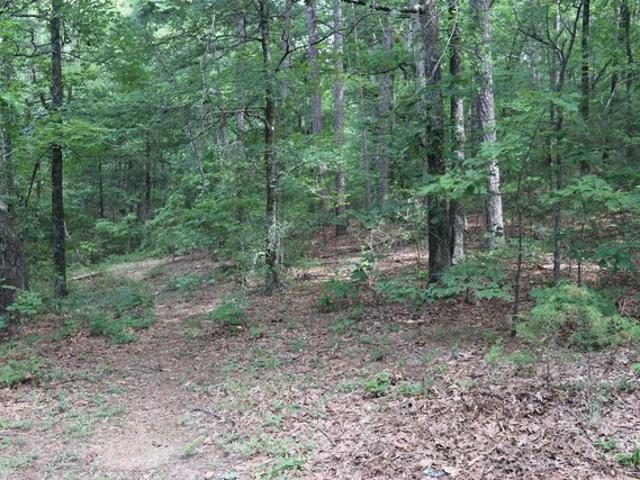 Long Branch Ln, Bee Branch, AR 72013