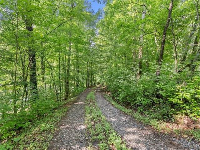 Long Branch Rd, Dahlonega, GA 30533