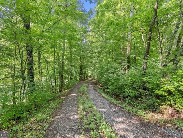 Long Branch Rd, Dahlonega, GA 30533