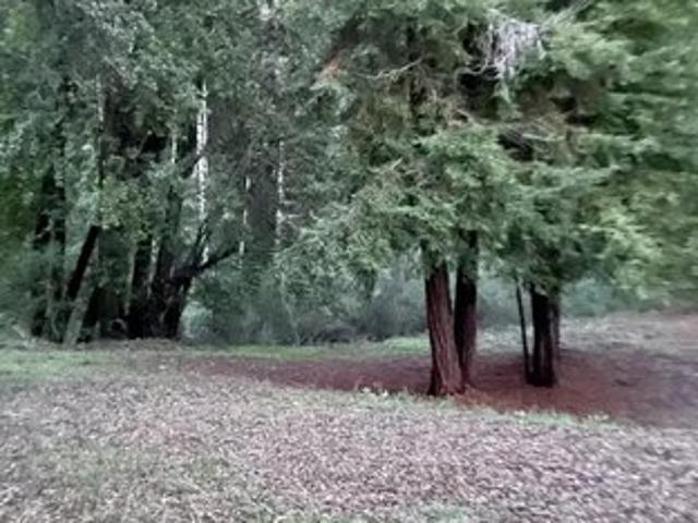 Long Branch Rd, Los Gatos, CA 95033