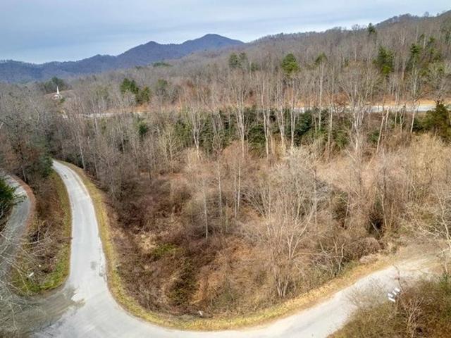Long Branch Rd, Sylva, NC 28779