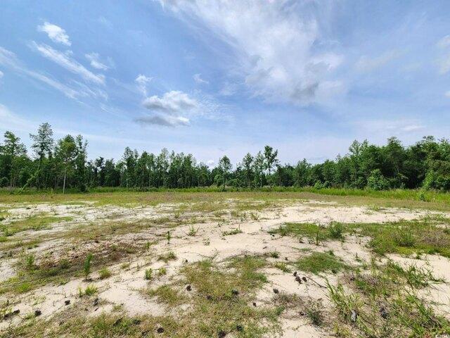 Long Branch Swamp Rd, Nichols, Plot For Sale