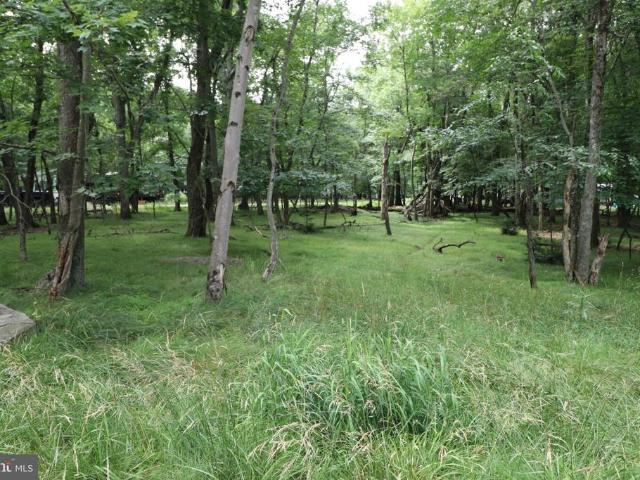 Long Brook Way & Woodland Road